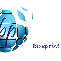 Blueprint Global - Developer Profile on DoSelect